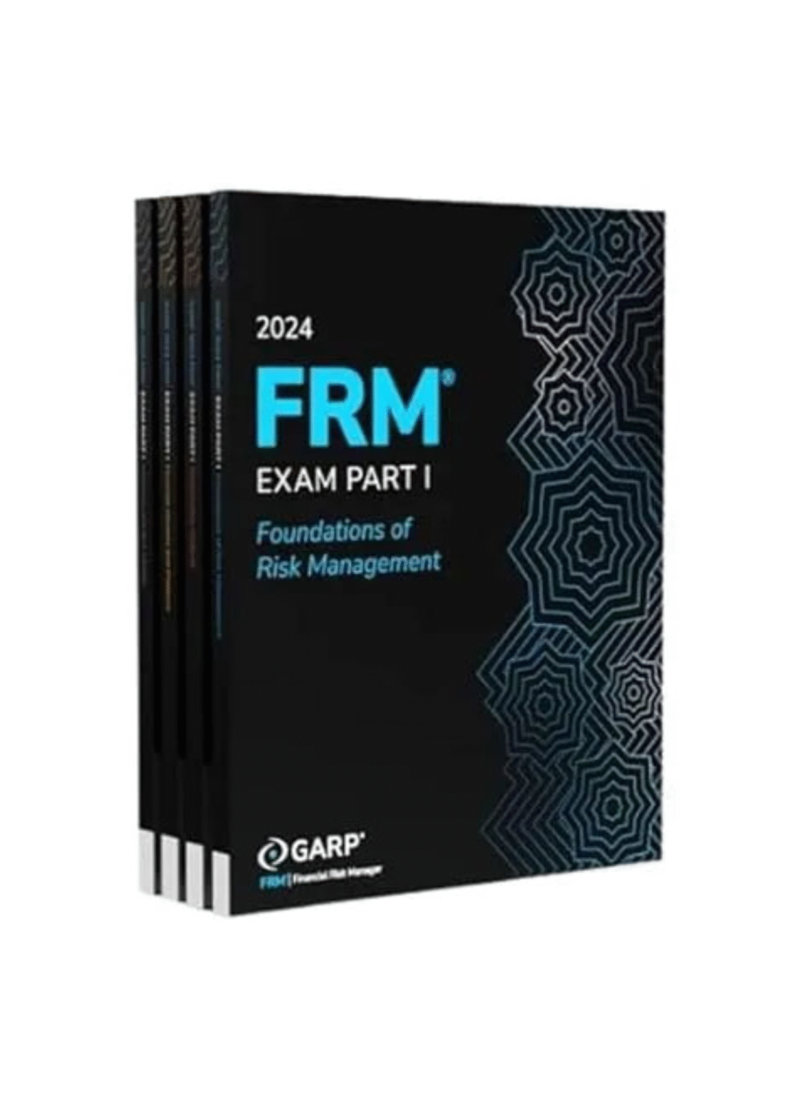 Buy GARP FRM Part 1 2024 - Complete 4-Book Set ...